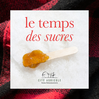 Le temps des sucres | Laurier Québec